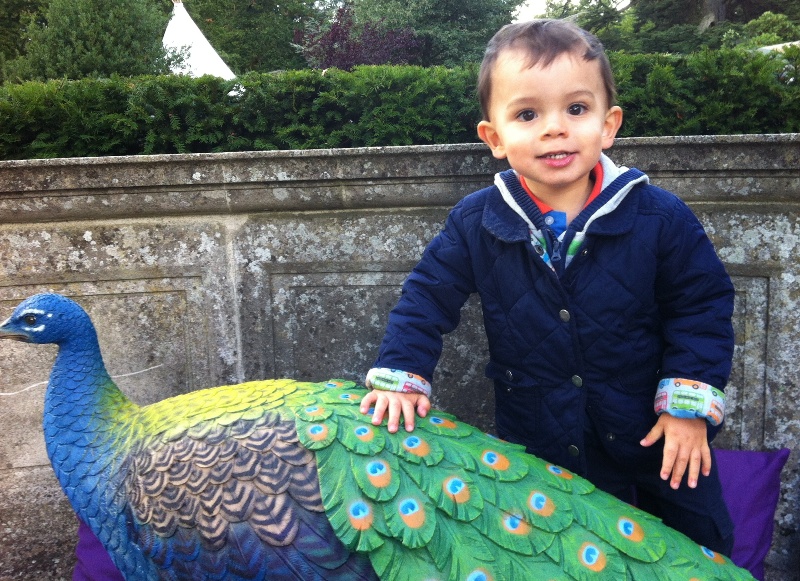 Summer Party | Nyan Thomas L's Blog